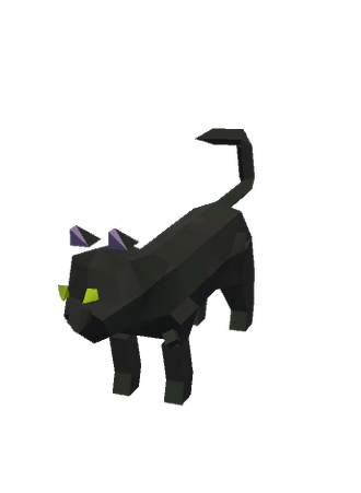 Lucia the cat
