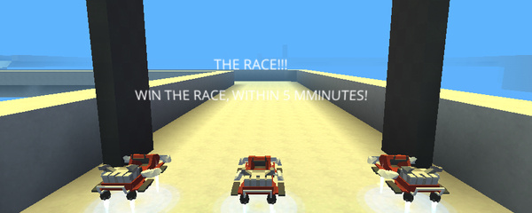 THE RACE
