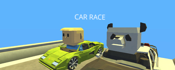 CAR RACE