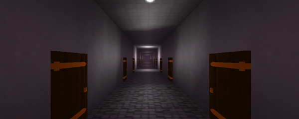 backrooms level 88 (Corri-doors)